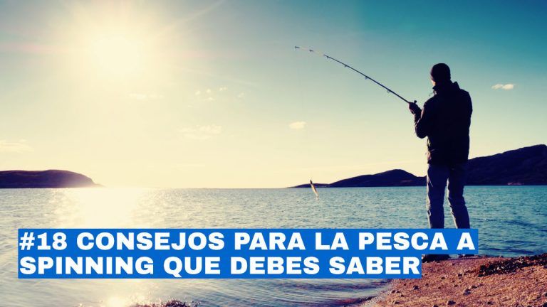 18 Consejos para la pesca a Spinning que debes saber